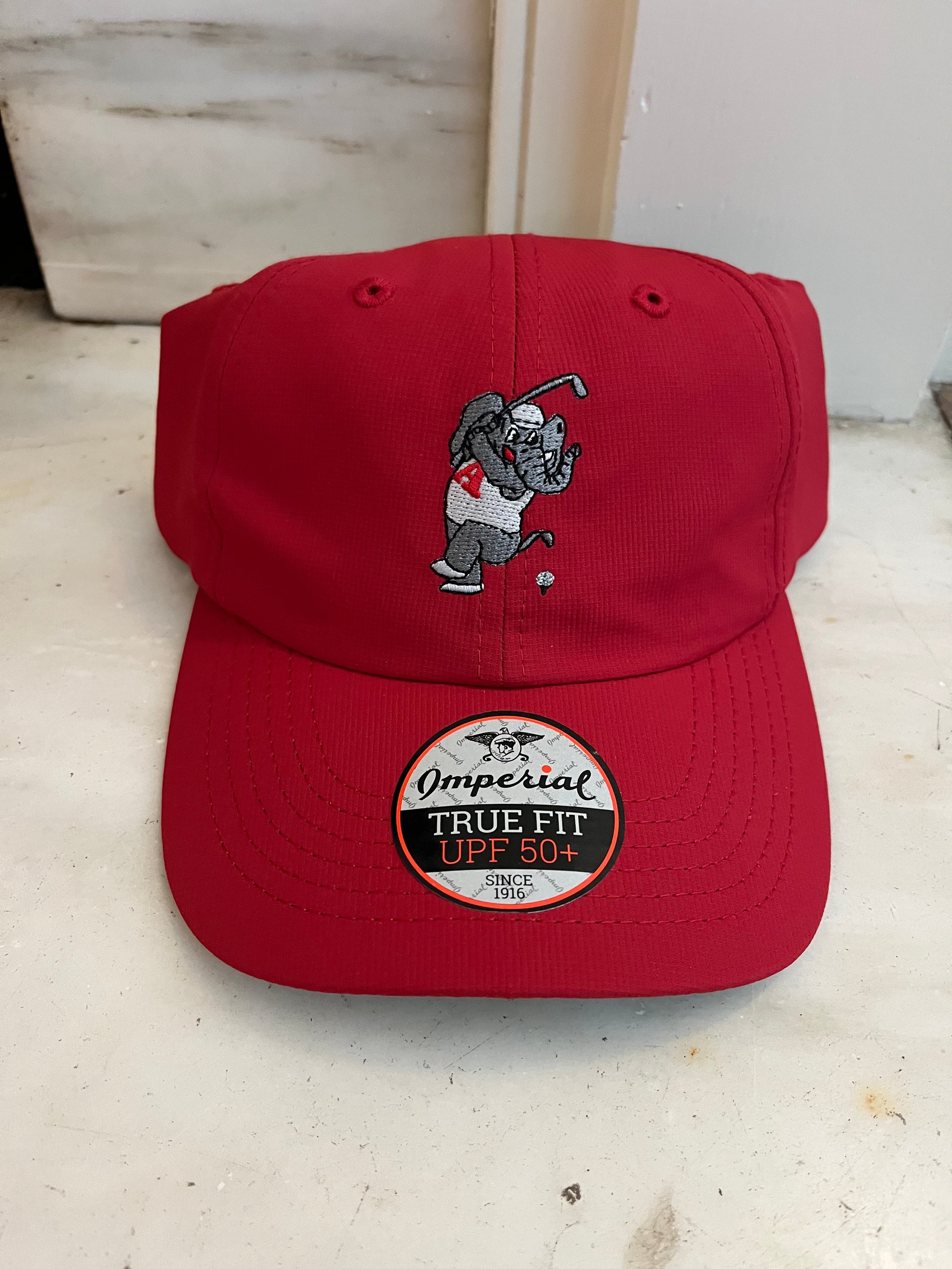 Swinging Elephant Club