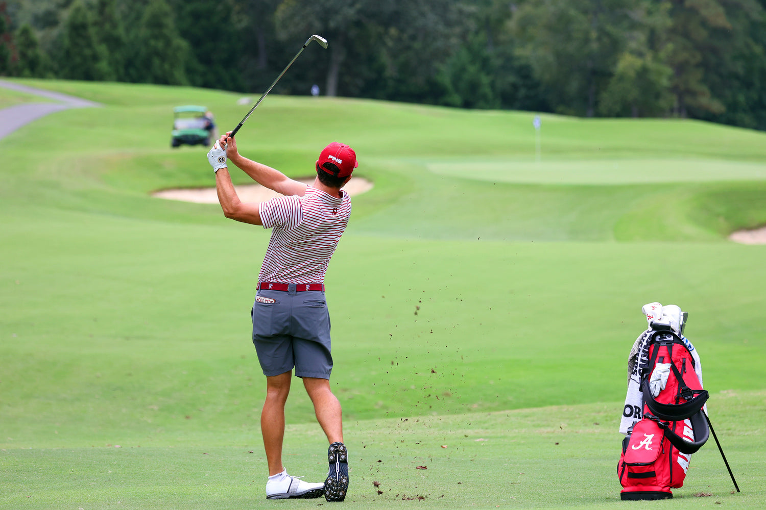 Swinging Elephant Club